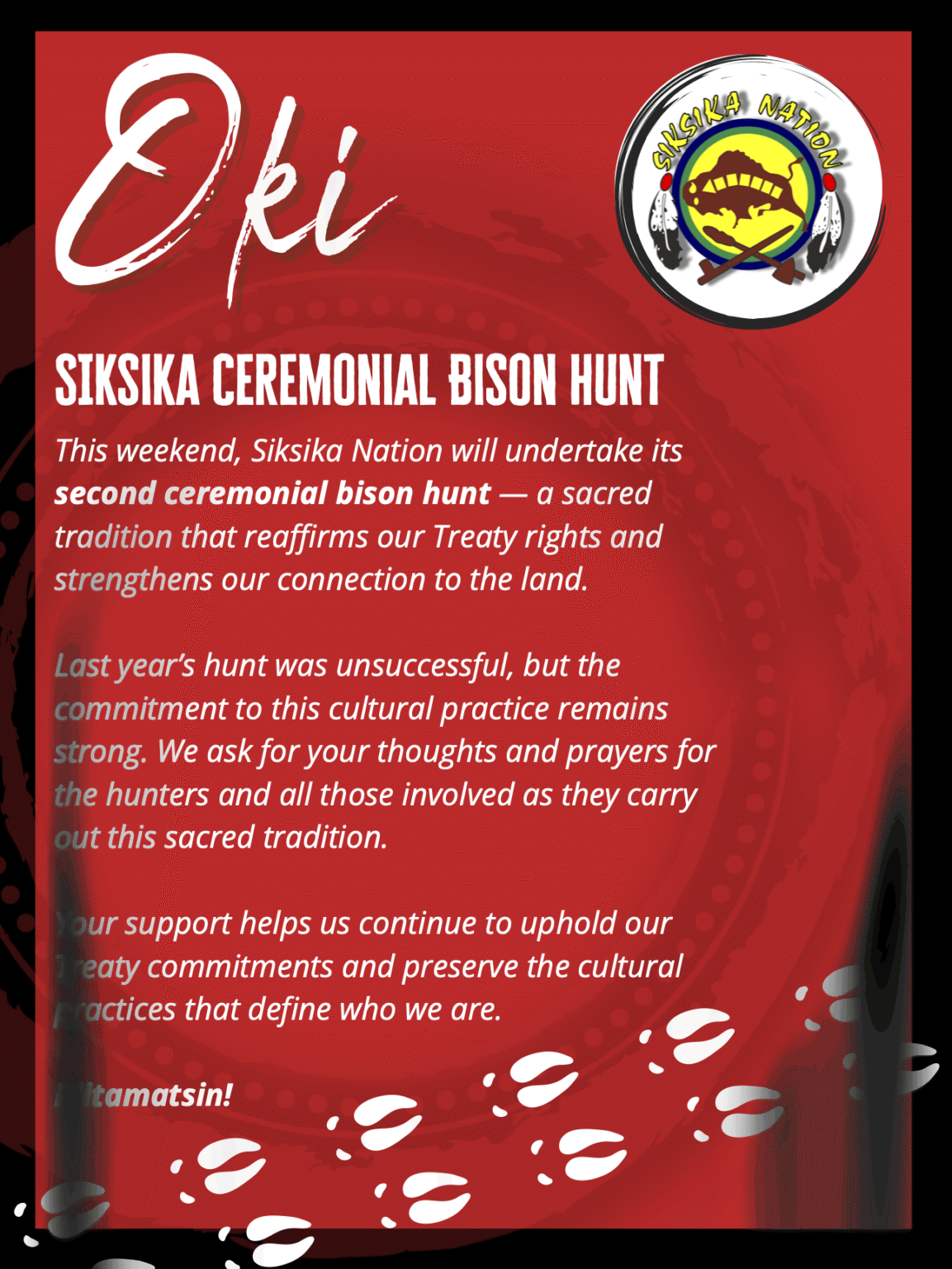 Siksika Ceremonial Bison Hunt - Siksika Nation