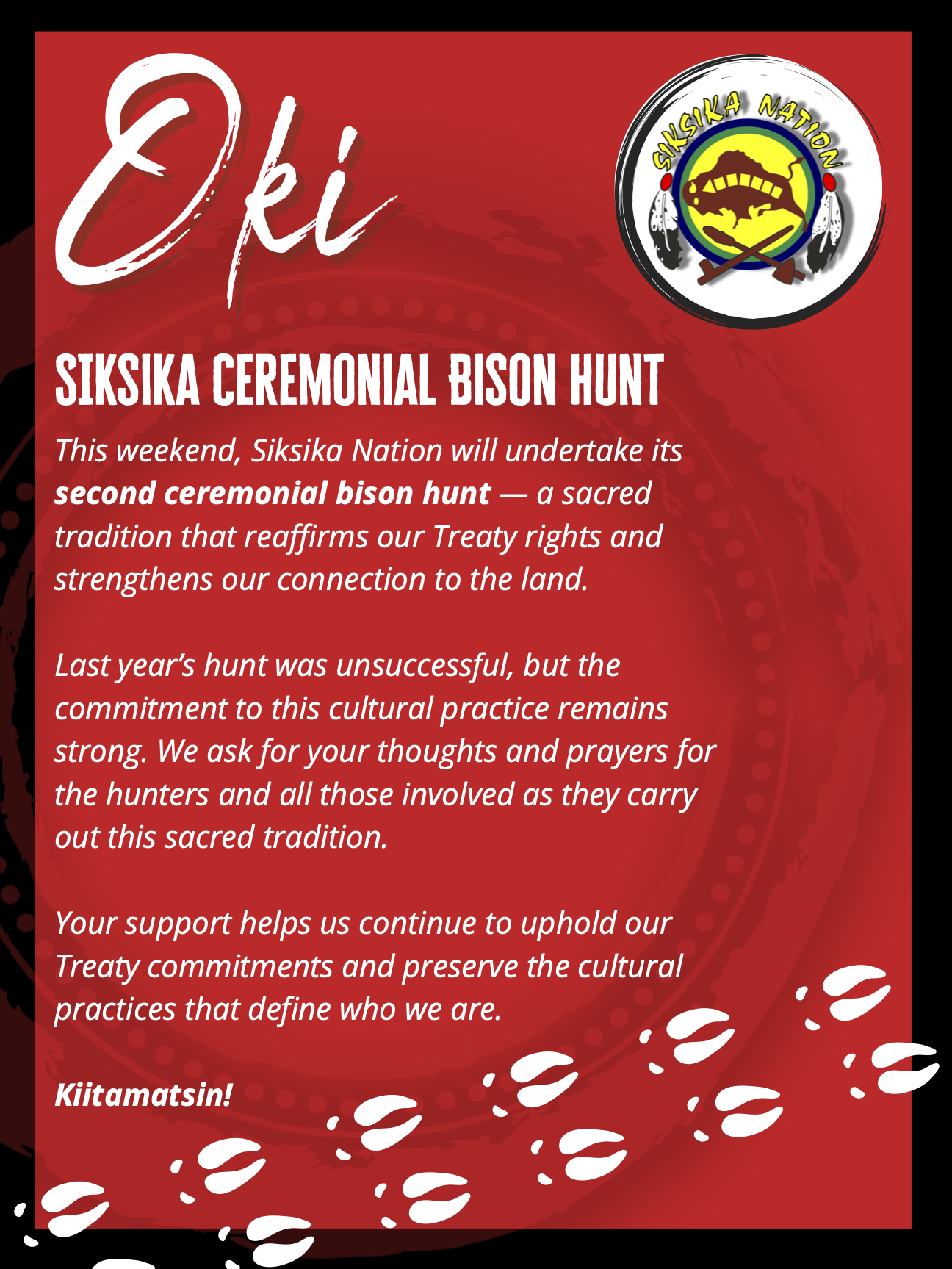 Siksika Ceremonial Bison Hunt - Siksika Nation